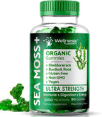 WELLNESS LABSRX Irish Sea Moss gummies
