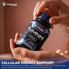 Wellness Labsrx nutritional benefits