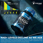 WELLNESS LABSRX Resveratrol immune support