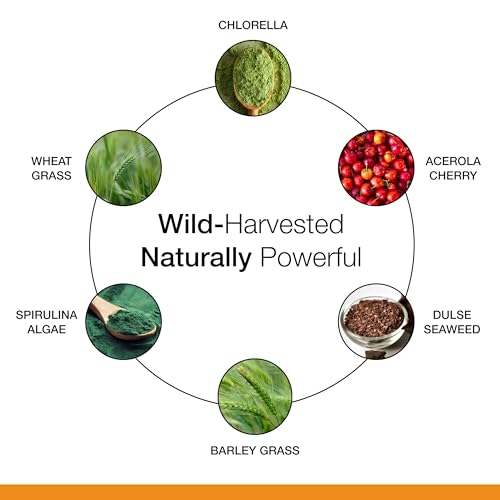 wellness supplement for busy Canadians