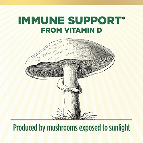 wellness supplements with mushroom blend