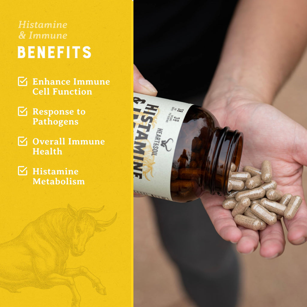 wellness support from blended supplements