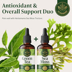 wellness support green tea extract