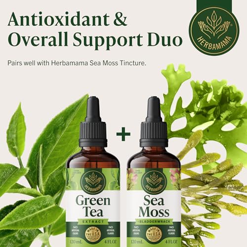 wellness support green tea extract