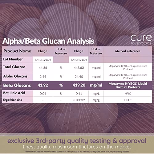 wellness support with chaga mushrooms