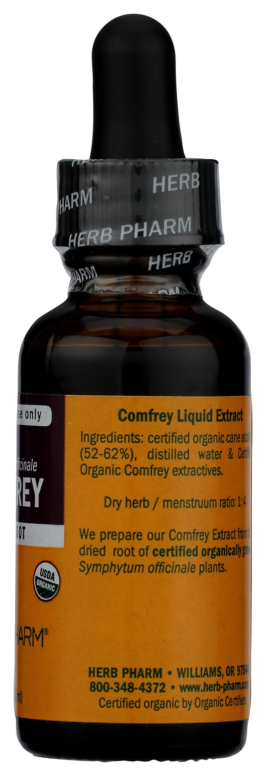 wellness support with echinacea extract