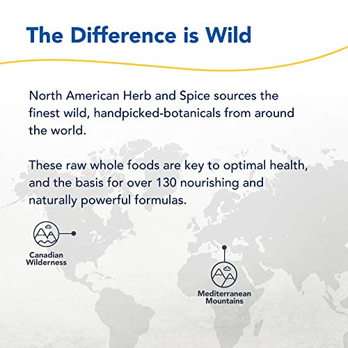 wellness support with herbal nutrients