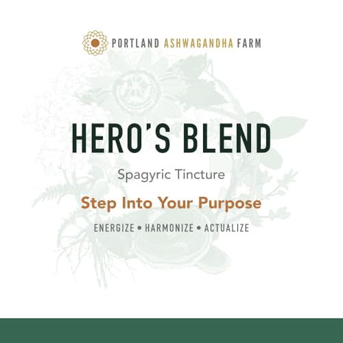 wellness support with Hero's Blend mushrooms