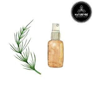 Wellness support with horsetail extract