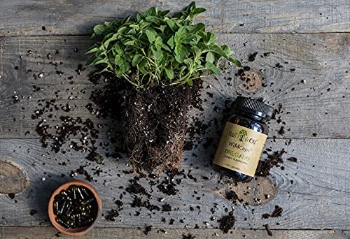 wellness support with oregano oil