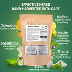 wellness tea for sinus support