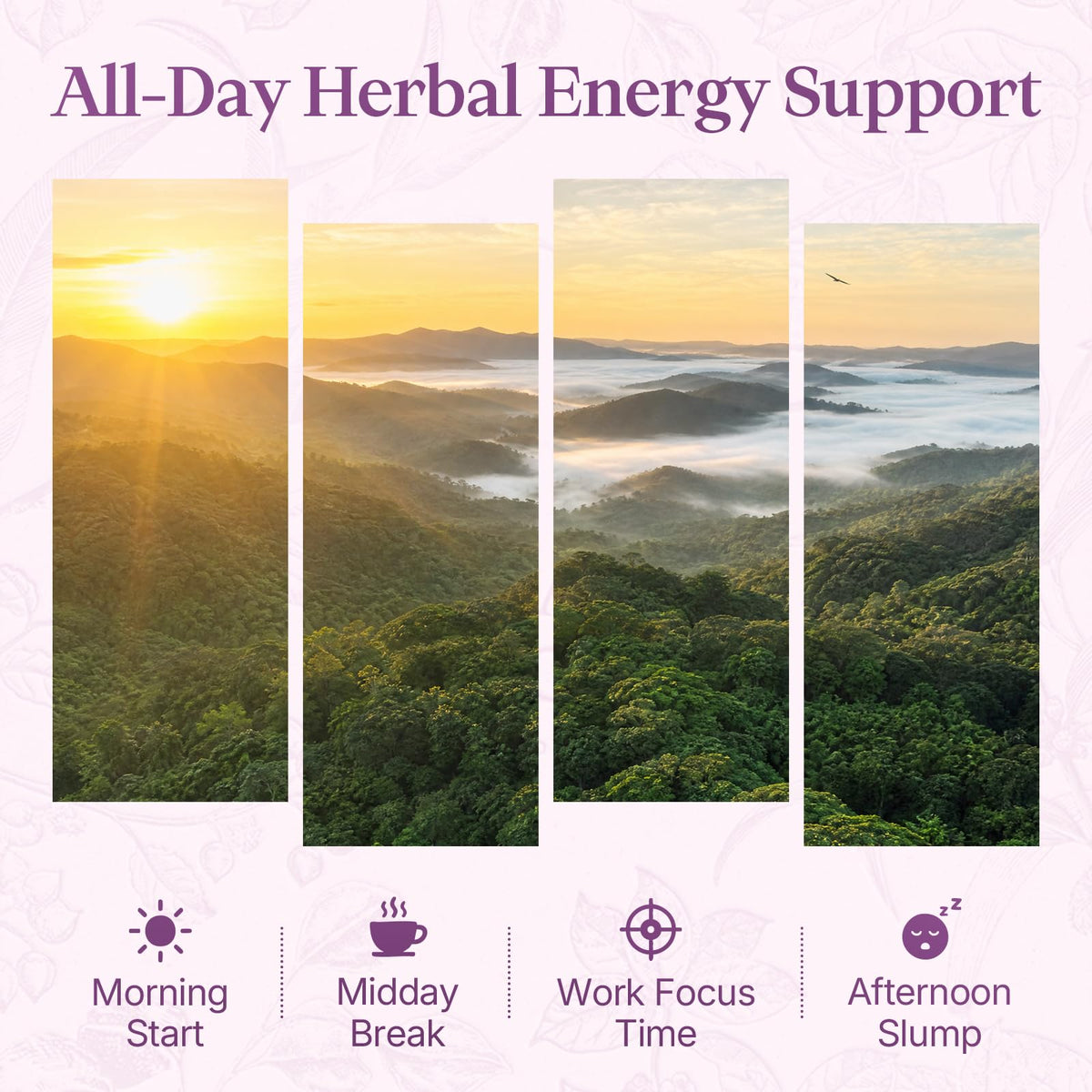 wellness tea for urinary health