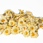 wellness with chrysanthemum tea