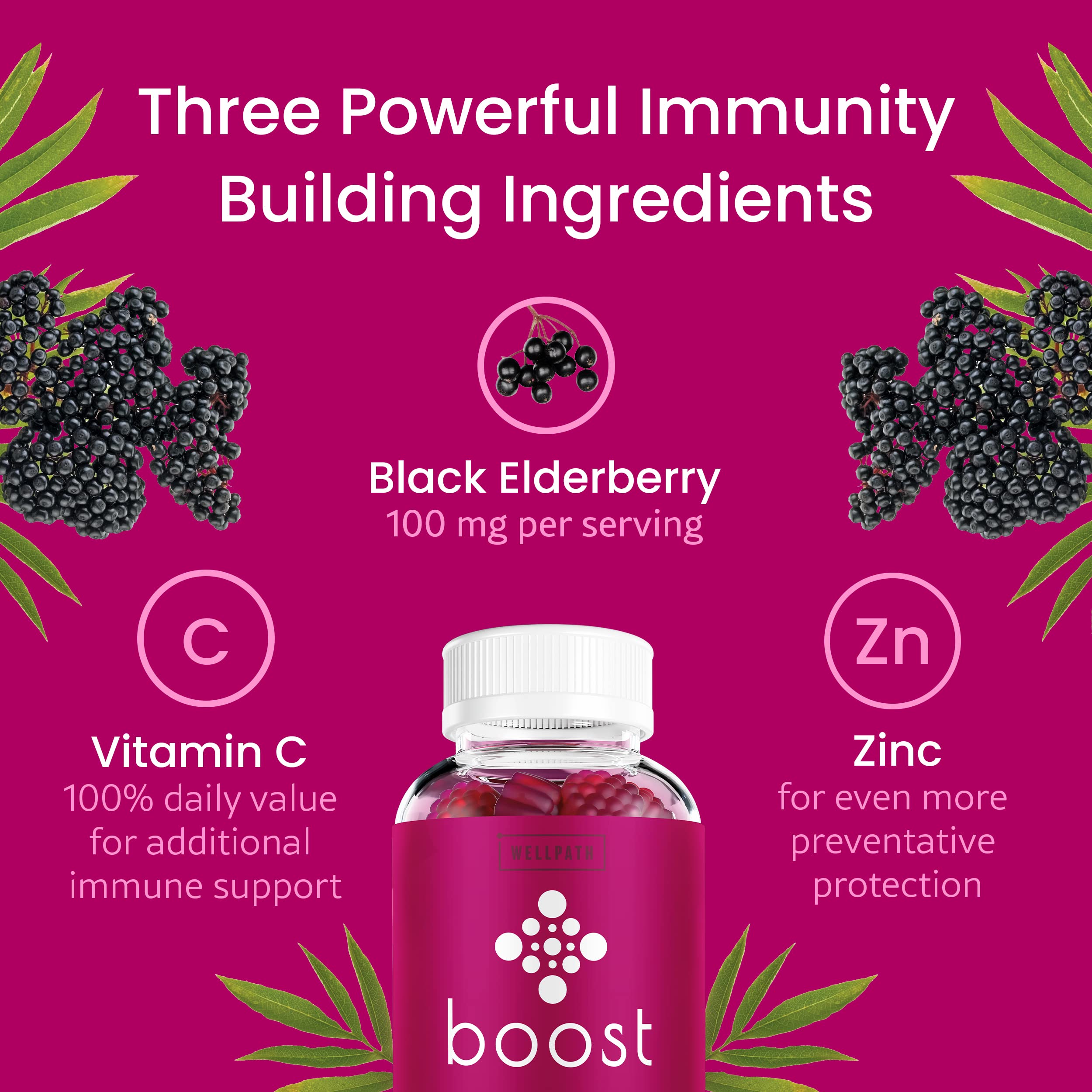 WellPath elderberry gummies for seasonal support