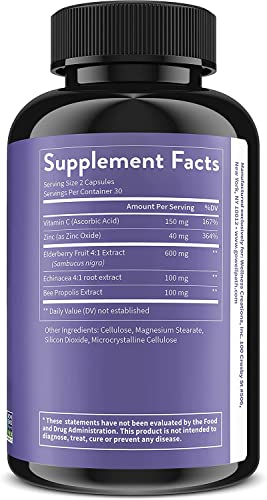 WellPath elderberry with vitamin C benefits