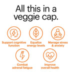 Wellthy Revive for mental clarity