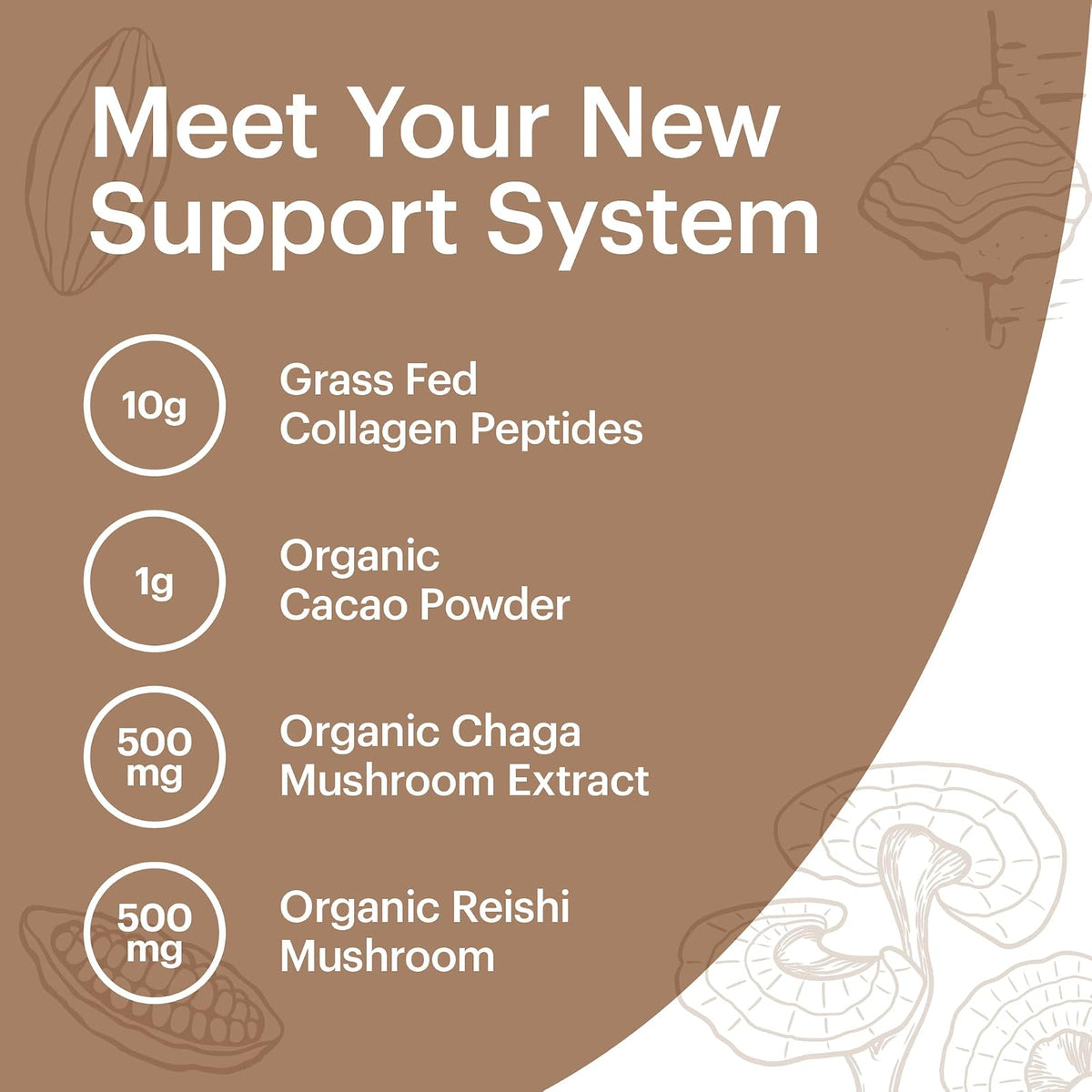 Wellthy superfood powder for wellness