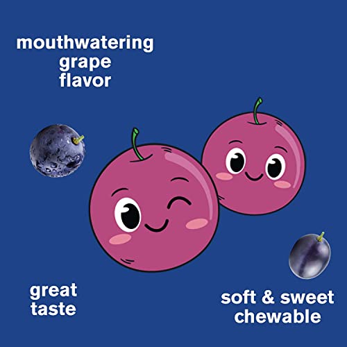 WellYeah gummies for anemia support