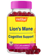 WellYeah lion's mane gummies for focus