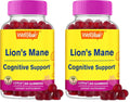 WellYeah lion's mane gummy supplements
