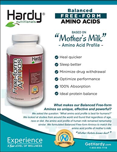 What are BCAAs good for in fitness