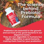 what are prebiotics in supplements