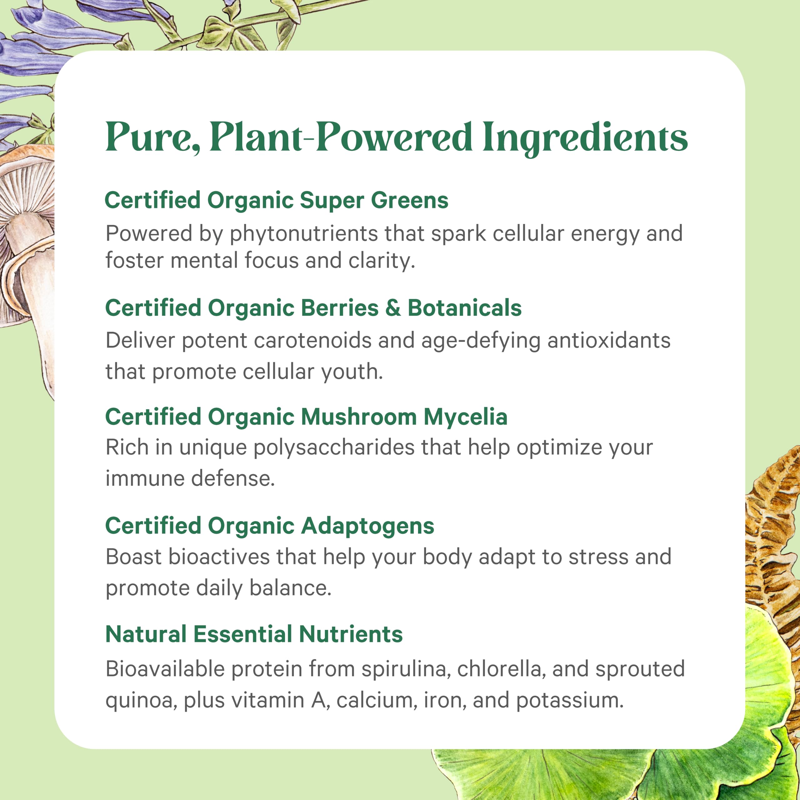 what are the benefits of spirulina