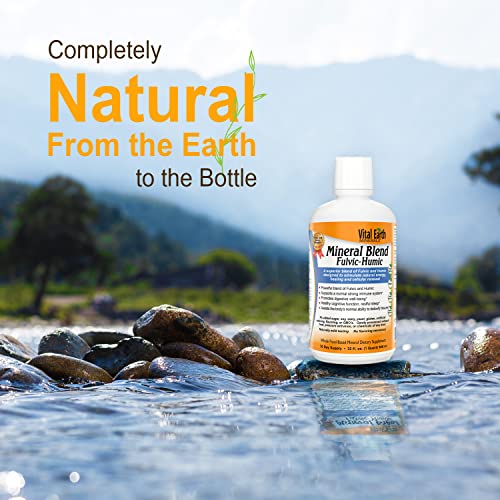 What are trace minerals explained