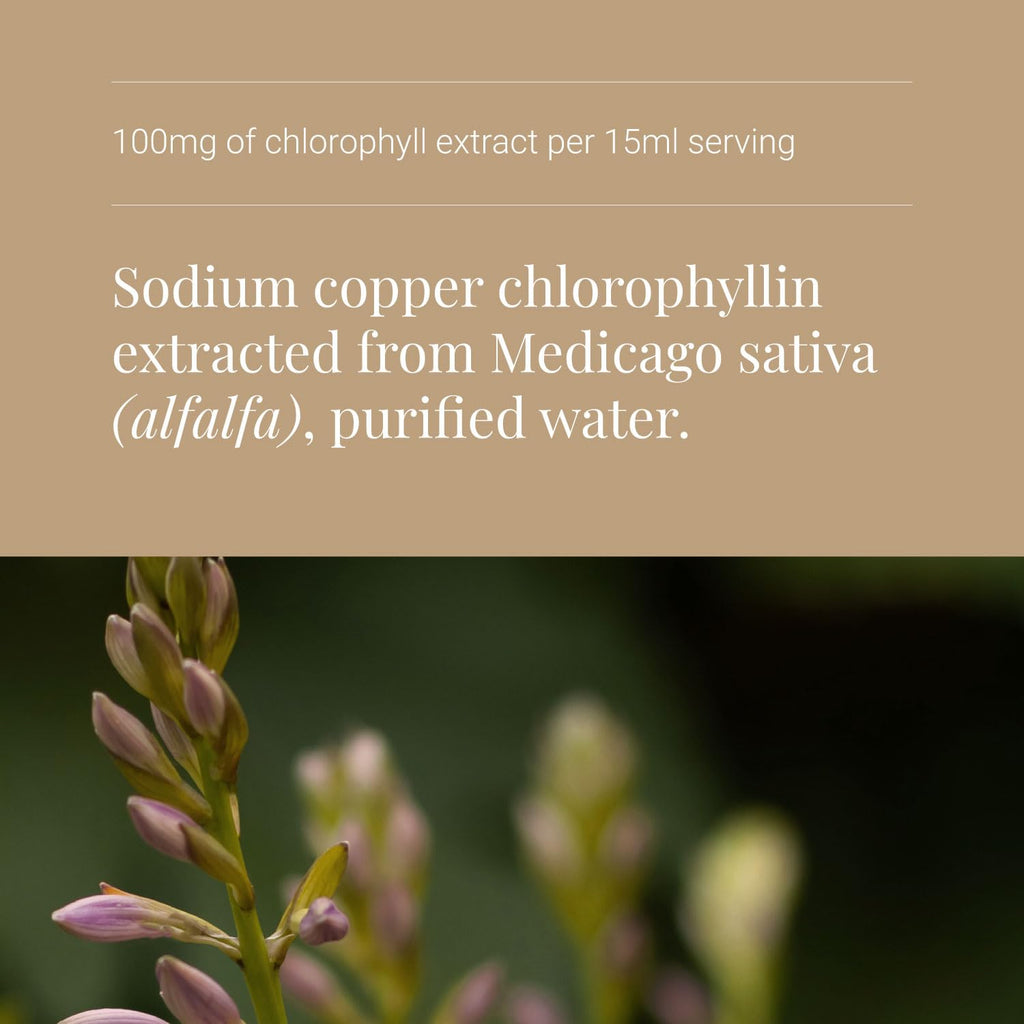 what does chlorophyll taste like