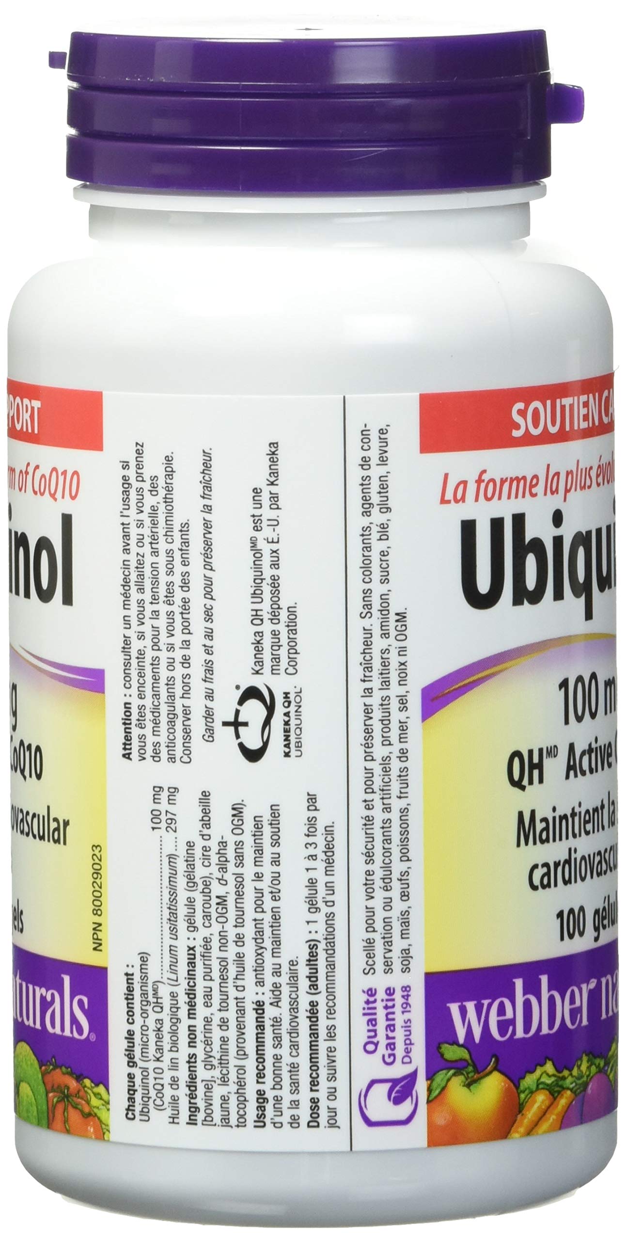 what does coq10 do for your body