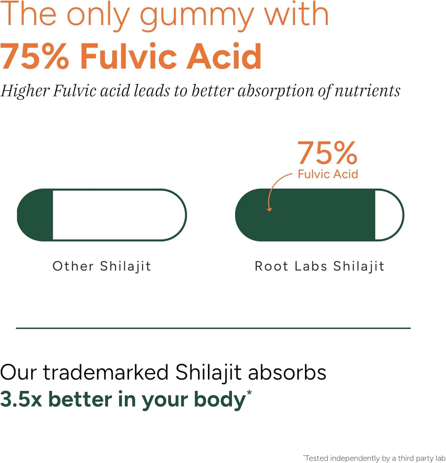 what does shilajit do for energy