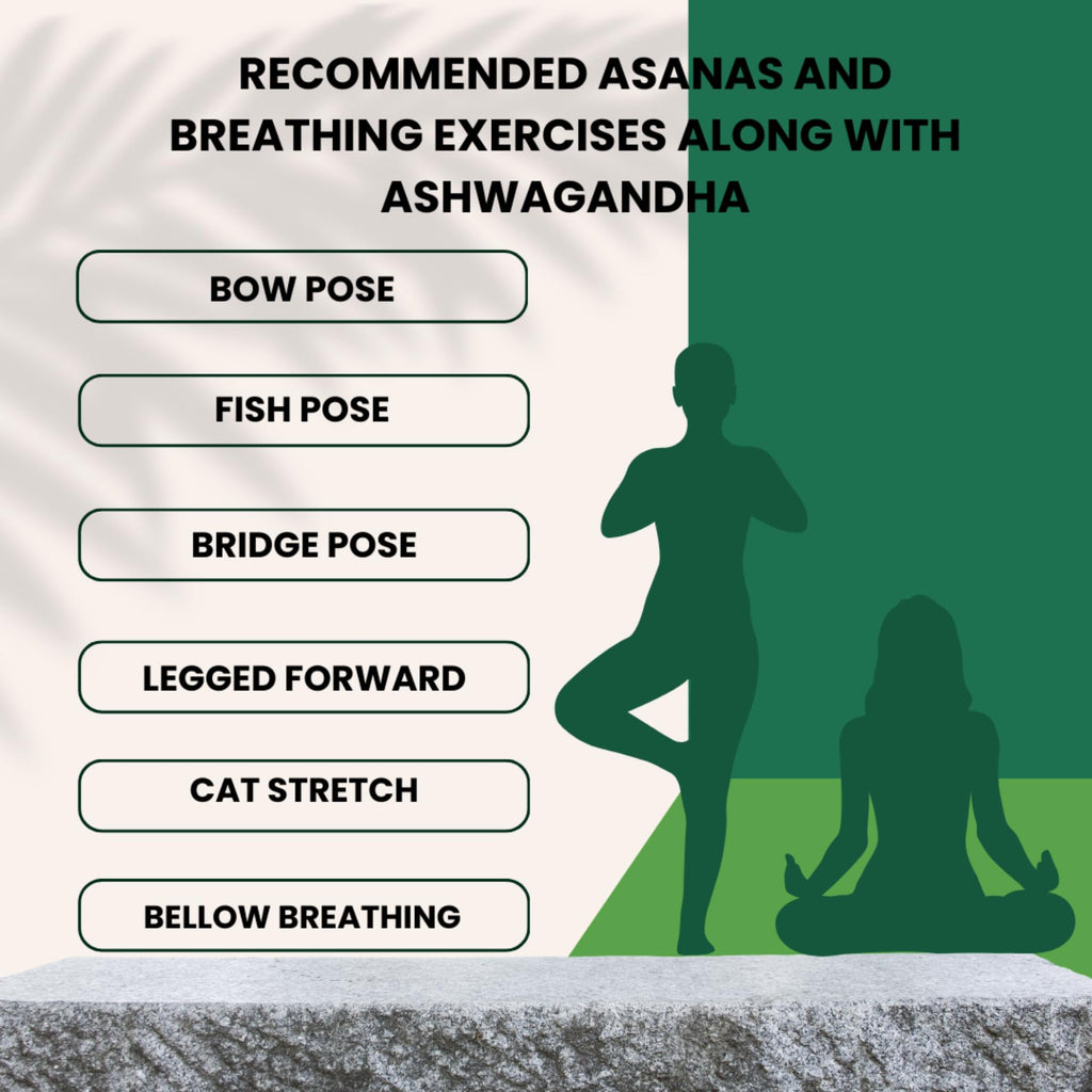 what is ashwagandha used for in health
