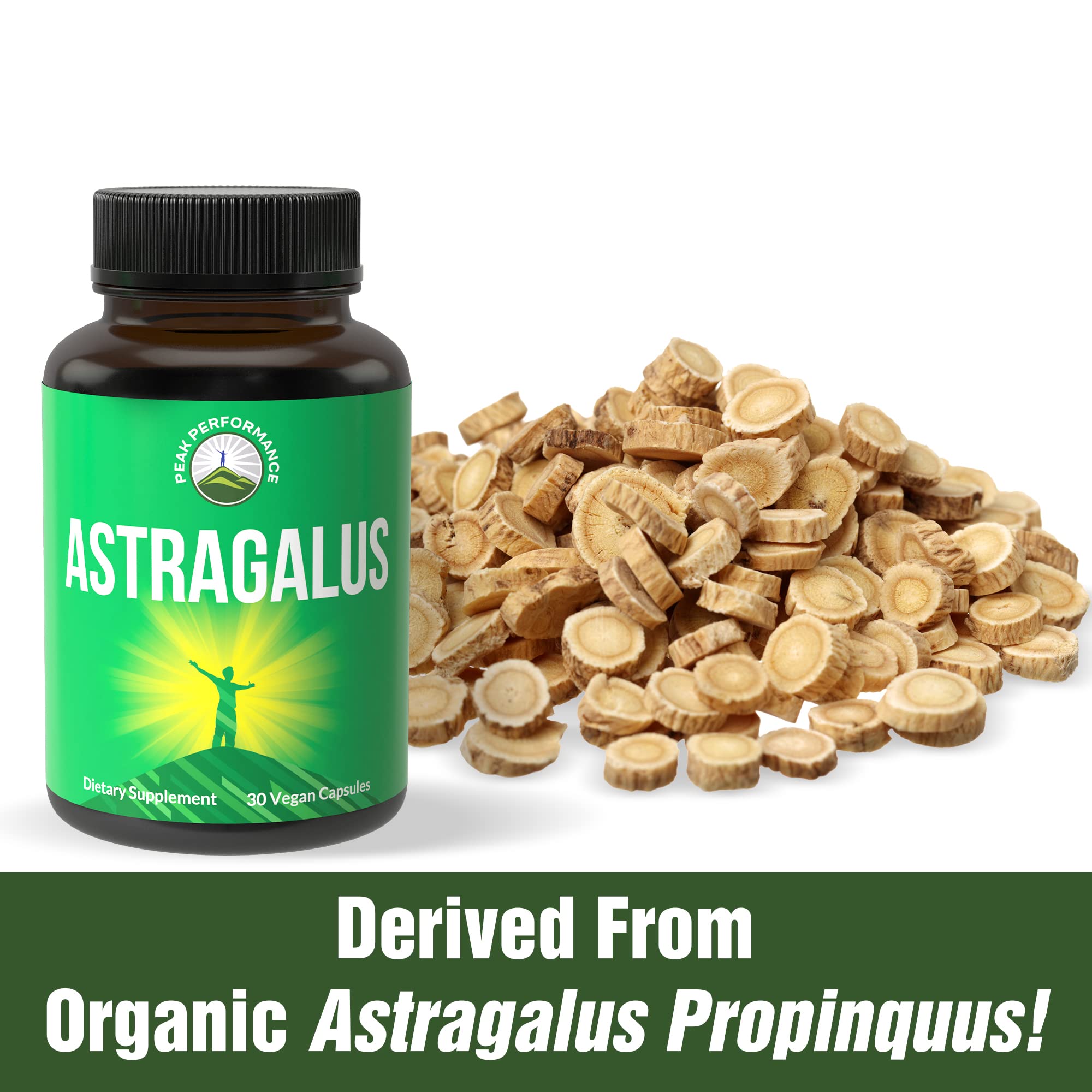 what is astragalus and its uses