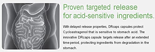 What is astragalus root extract