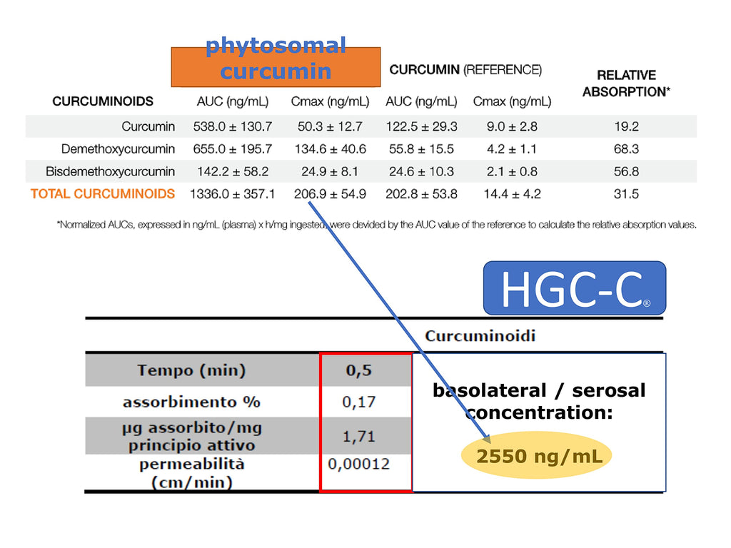 what is curcumin used for daily