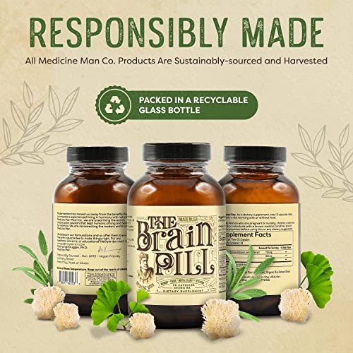 what is ginkgo biloba and its benefits