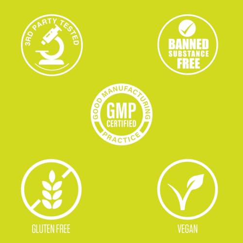 what is ginkgo biloba and its uses