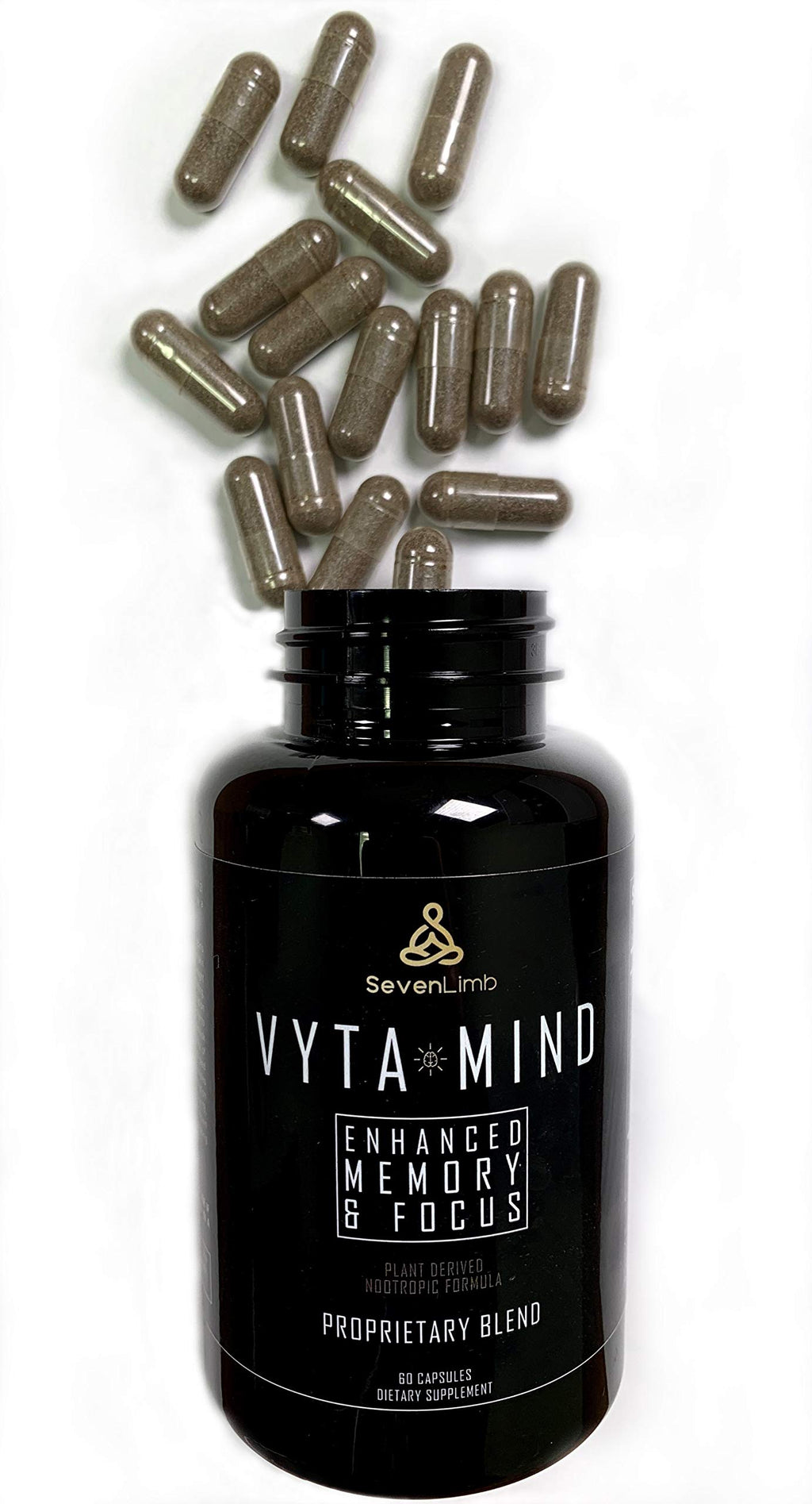 what is ginkgo biloba and its uses