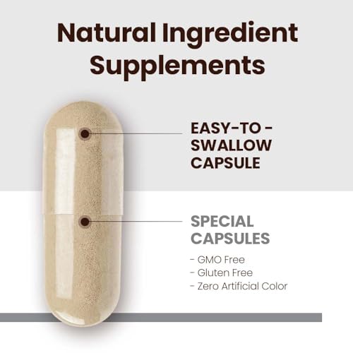 what is ginkgo biloba and its uses