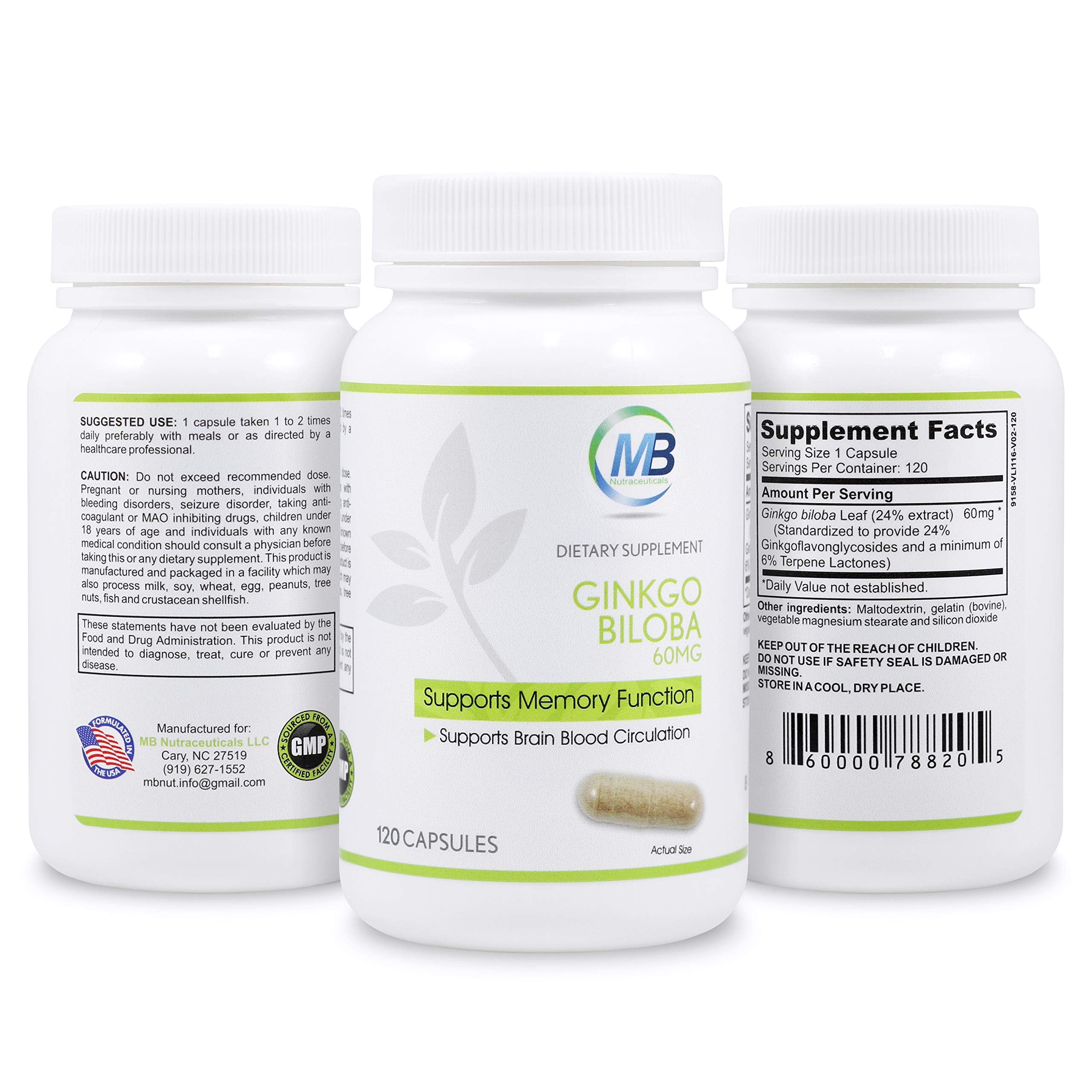 what is ginkgo biloba and its uses