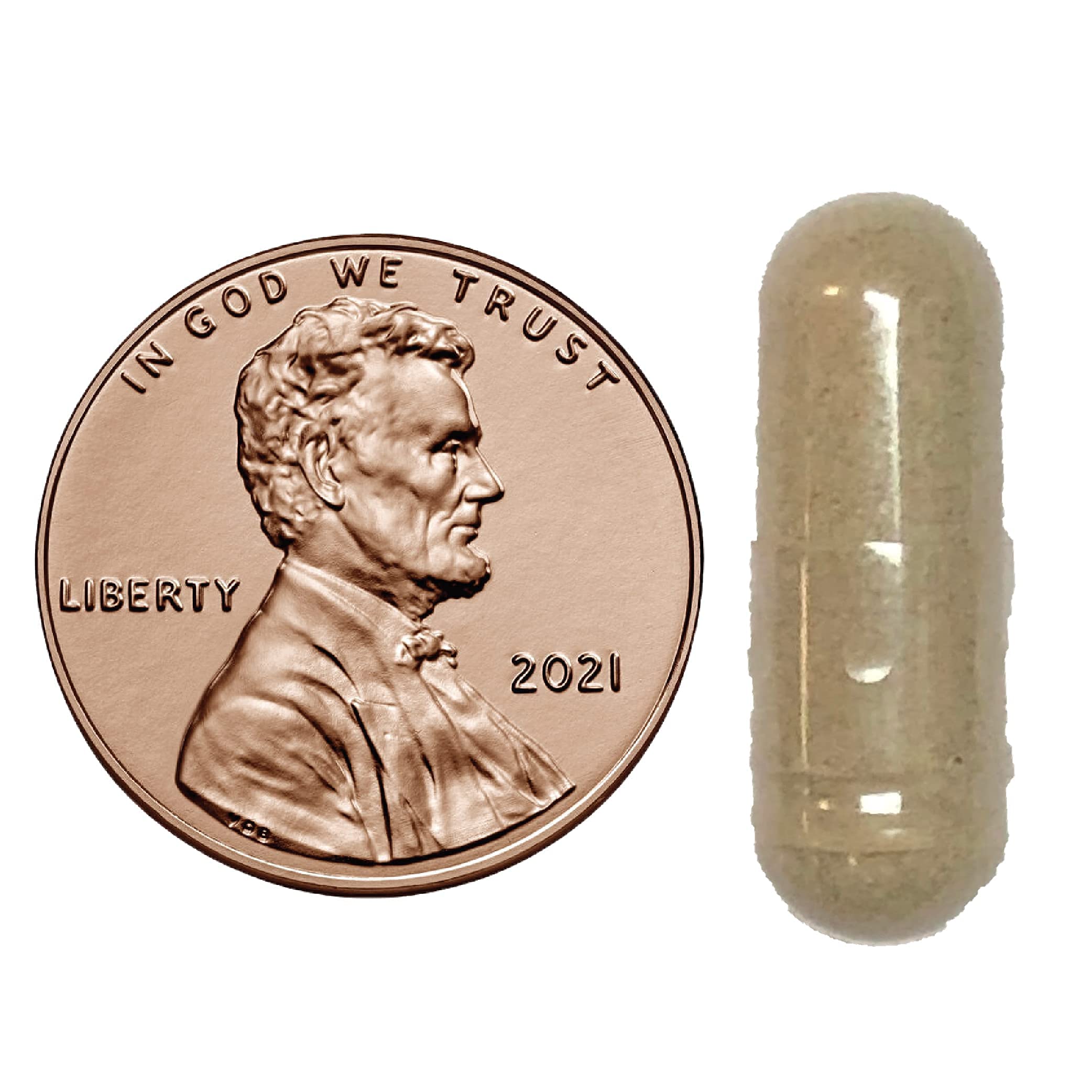 what is ginkgo biloba supplement