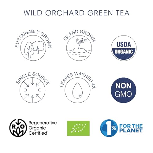 what is green tea made of