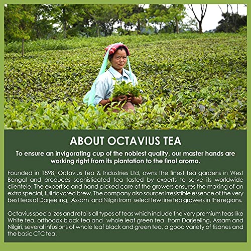 what is green tea made of