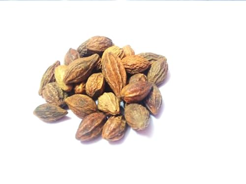 what is haritaki and its uses