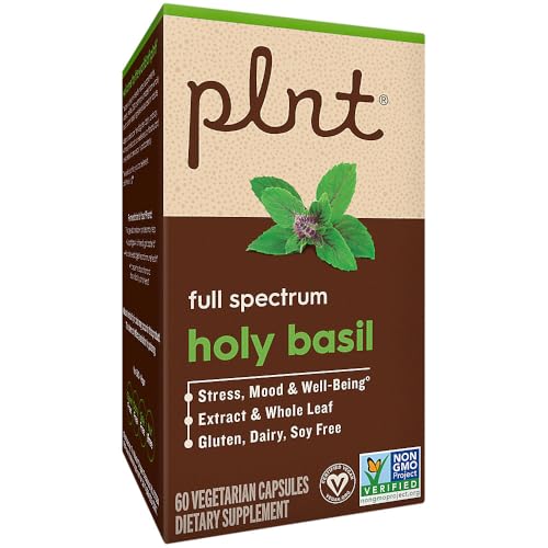 what is holy basil good for