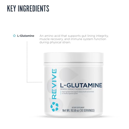 what is l-glutamine and its uses