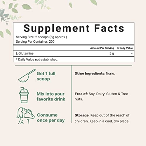 what is l-glutamine for muscle support