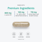 what is l-lysine and its uses