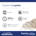 what is l-lysine and its uses