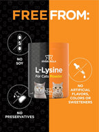 what is l-lysine and its uses